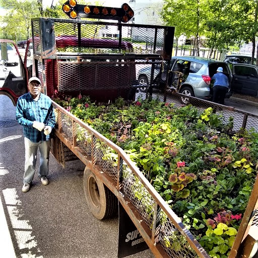 Plant Distributions - Chicago Community Gardeners Association